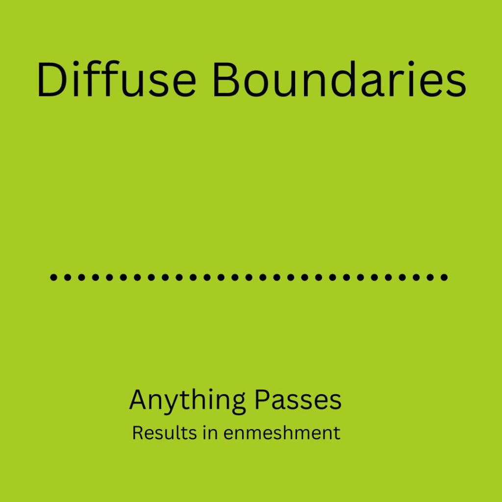 The 3 Types of Boundaries from Structural Family Therapy – Evolve ...